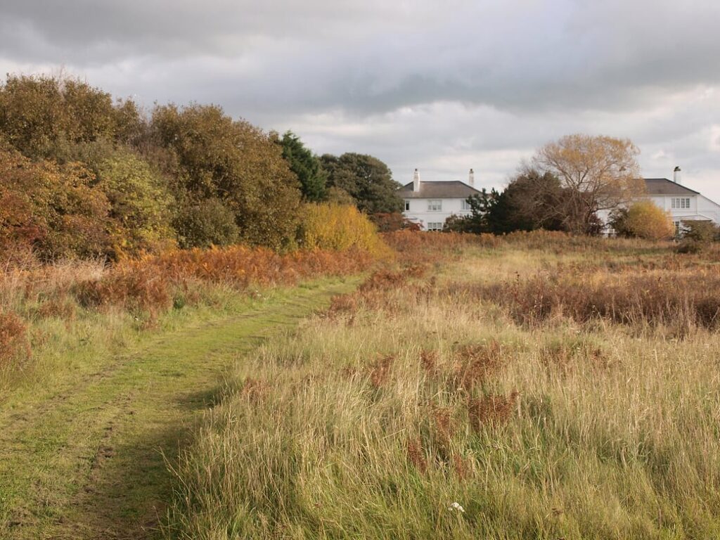 Middle Field - Sandwich Bay Bird Observatory Trust