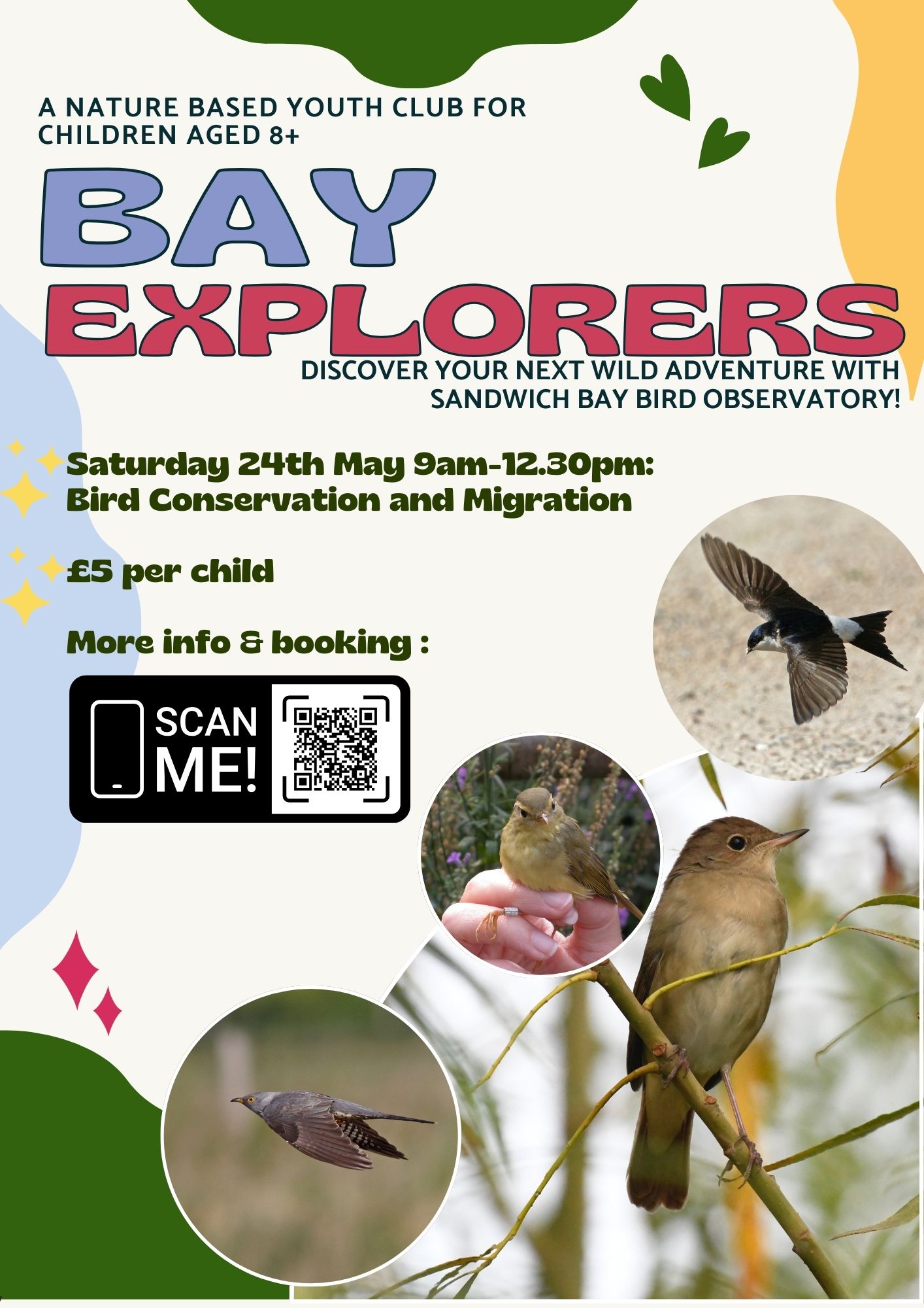 Bay Explorers - Sandwich Bay Bird Observatory Trust